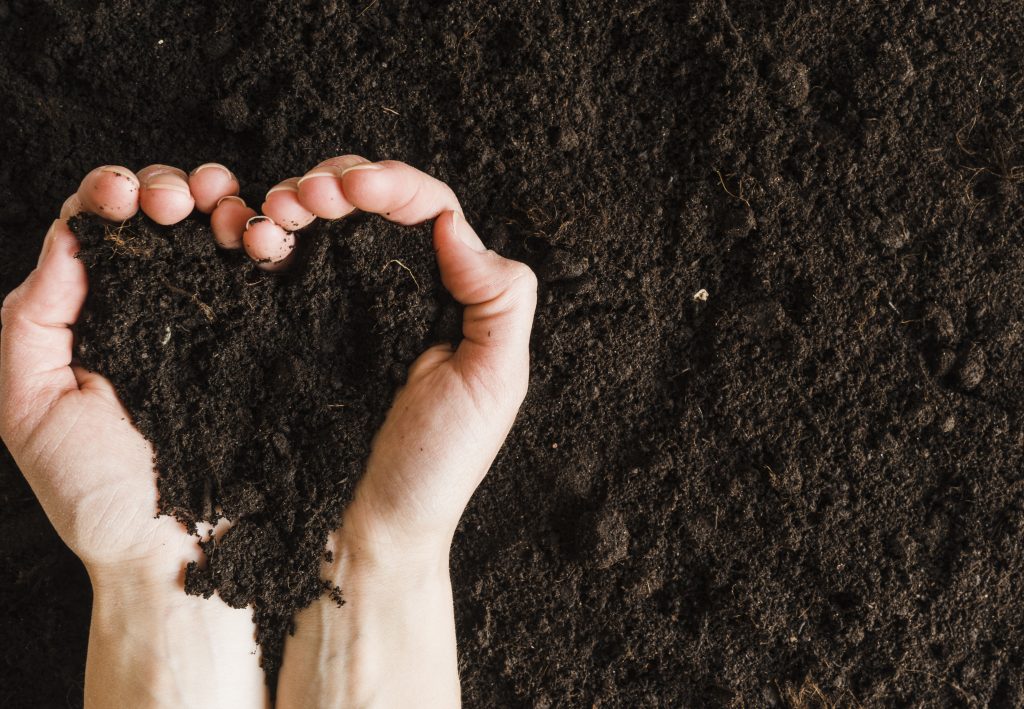 ¿Como hacer compost en casa? - Vyopanamá